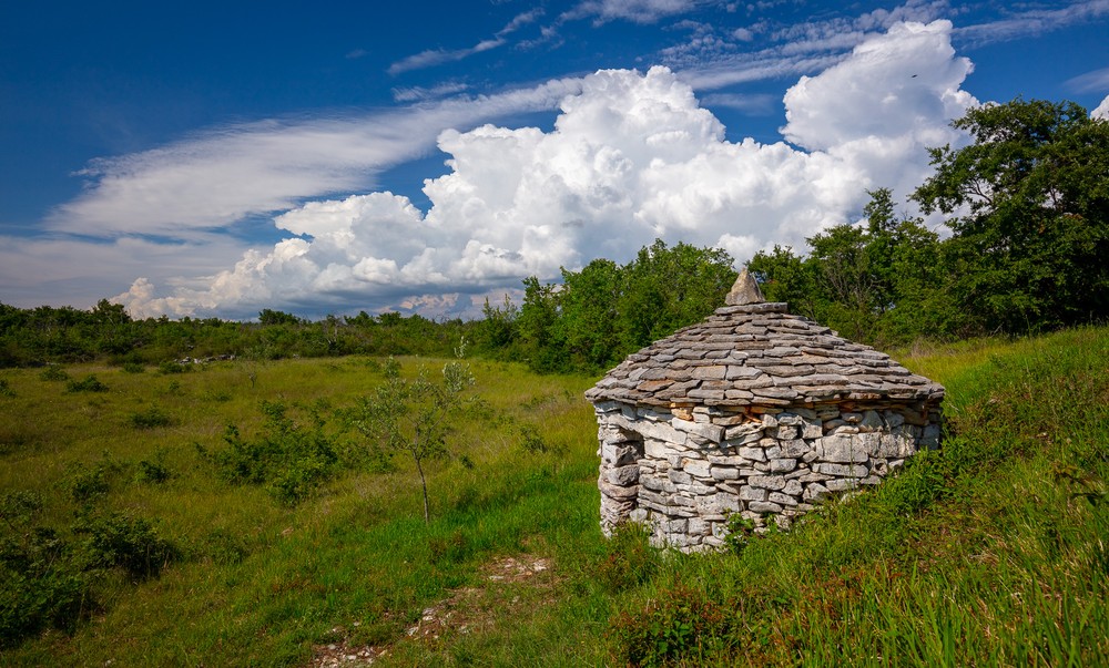 Al Pino Blue Istra, Holiday home in Istria - in touch with nature